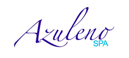 Comunicación y Servicios – Paychamp